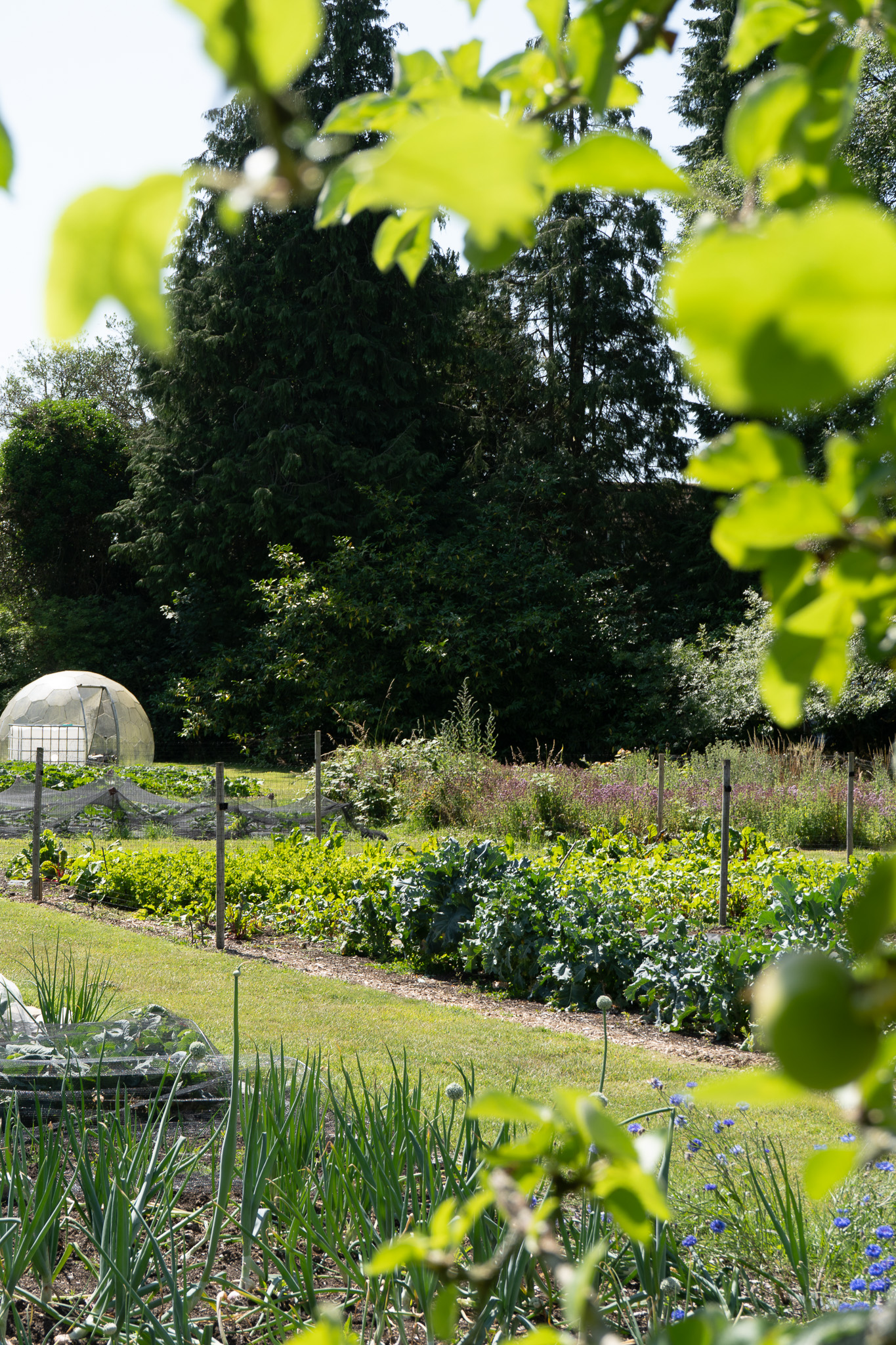 Experiences in Wiltshire | Bishopstrow Hotel & Spa